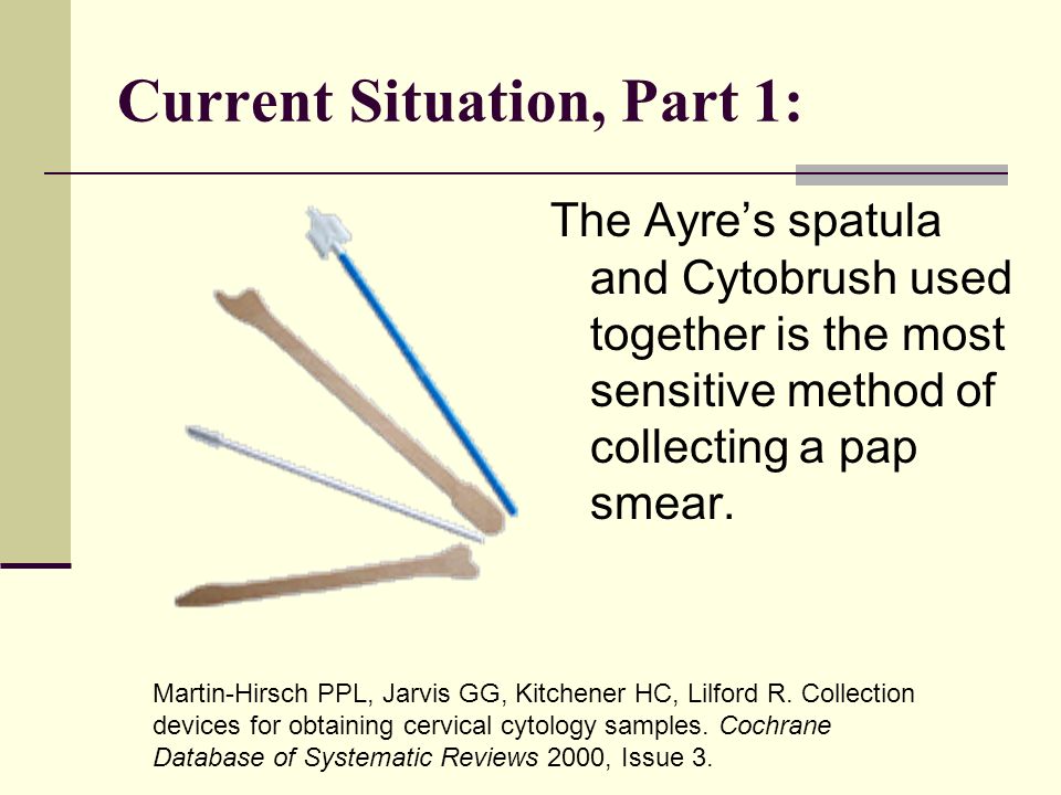 The National Cancer Center