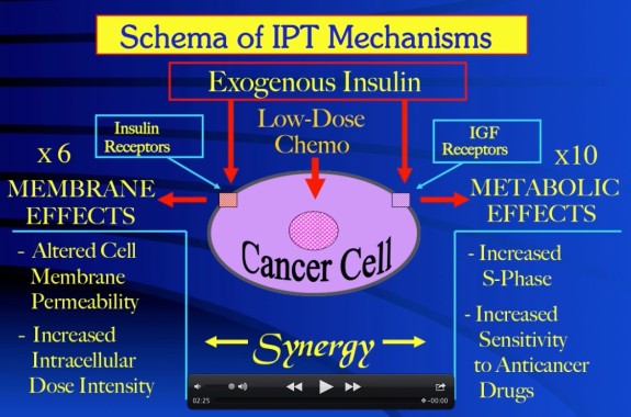 Contemporary Medicine | Insulin Potentiation Therapy (IPT)